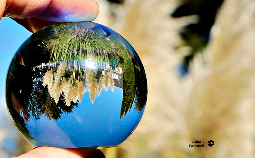 Kugel-Fotografie - chaotenbandes jimdo page!
