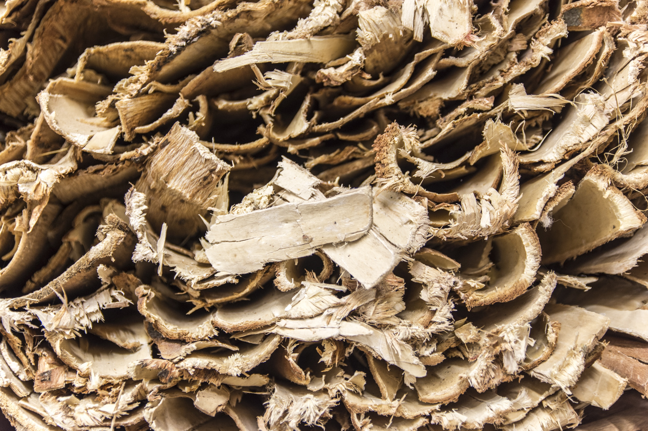 Saponin - Dr.H. Schmittmann GmbH