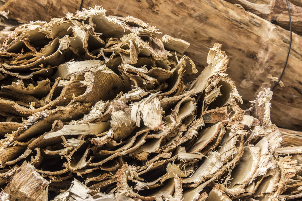 Saponin - Dr.H. Schmittmann GmbH