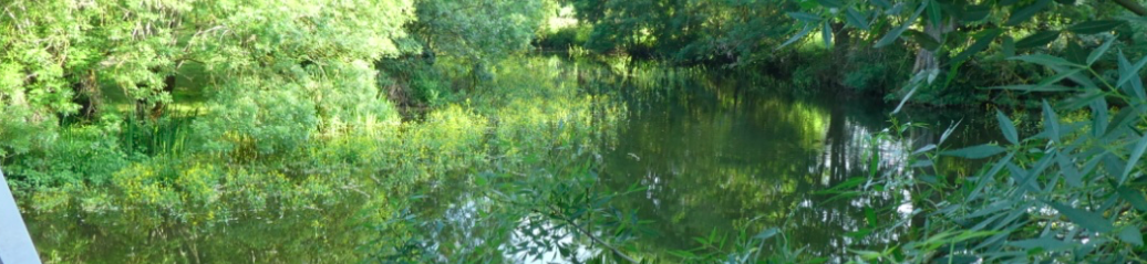 Antoine Béchamp : Les Microzymas - Un terrain de santé