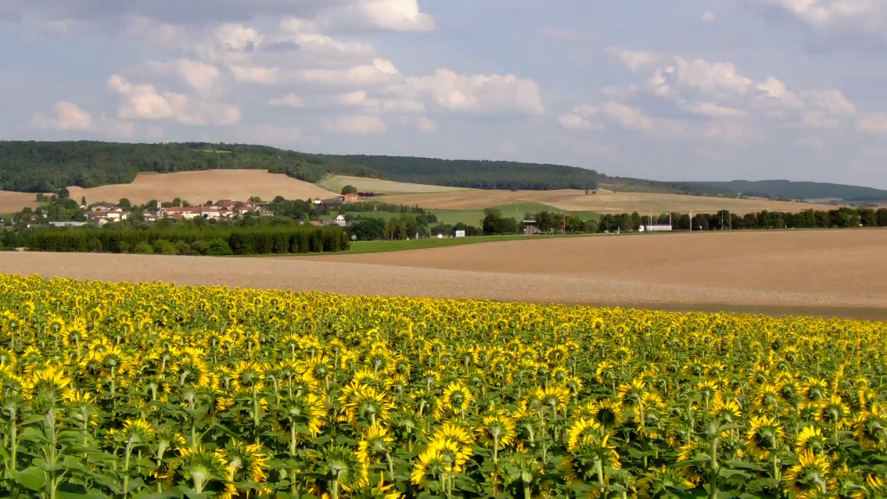 Les échelles de plan - La physique-chimie et le cinéma