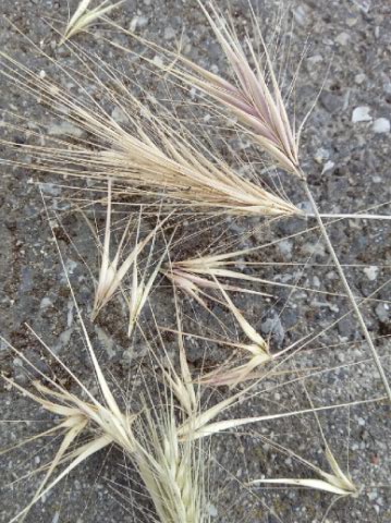 MARS - AVRIL - Site de toutourismefrance