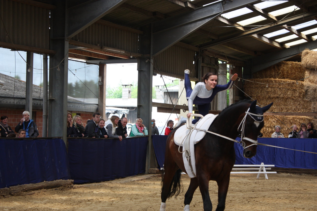 Turnier Gut Stockum - RuF Melle-Buer