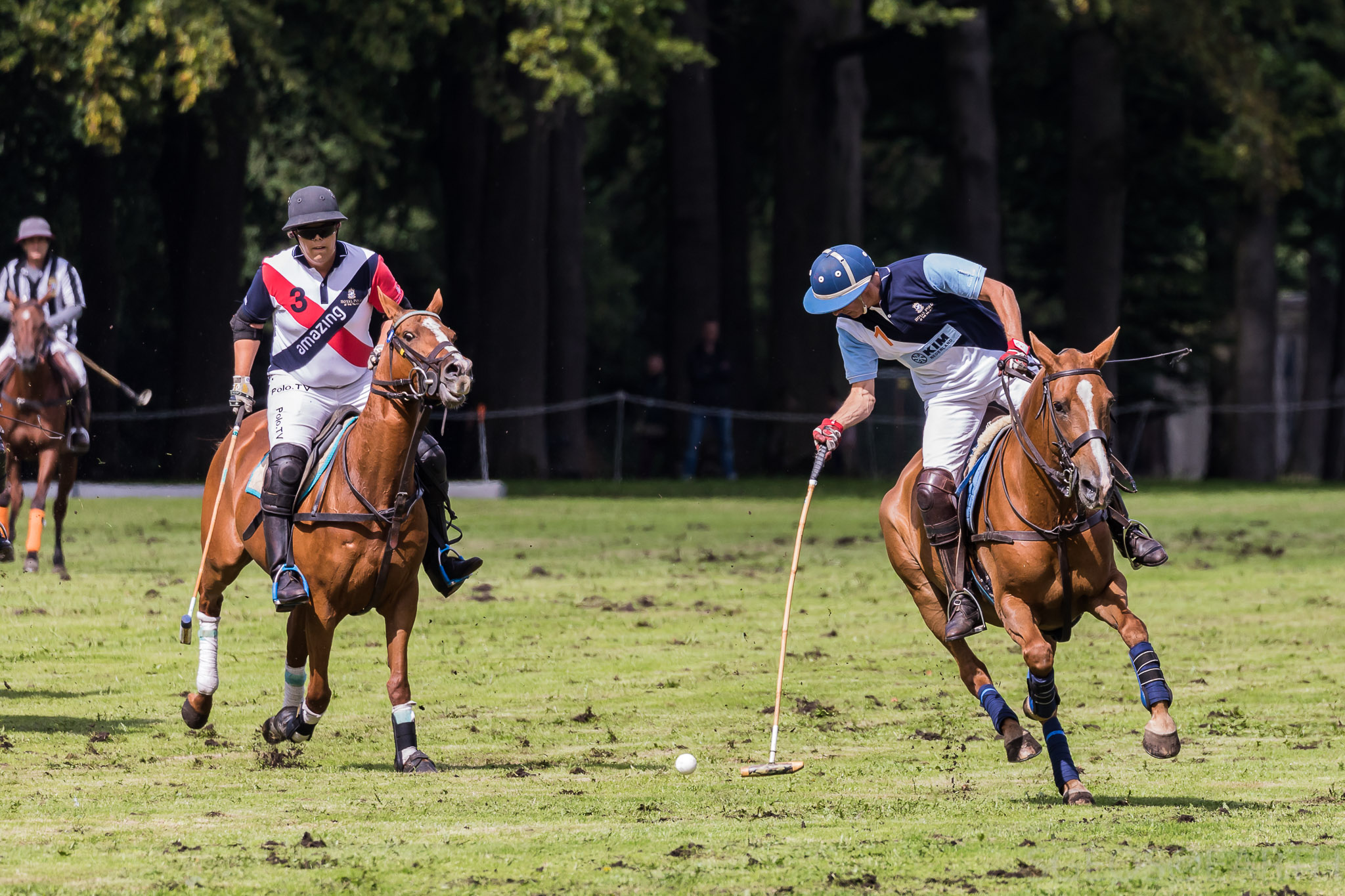 Royal Polo at the Palace (day 1 of 2) - 25 August 2018 - STEVEN ...