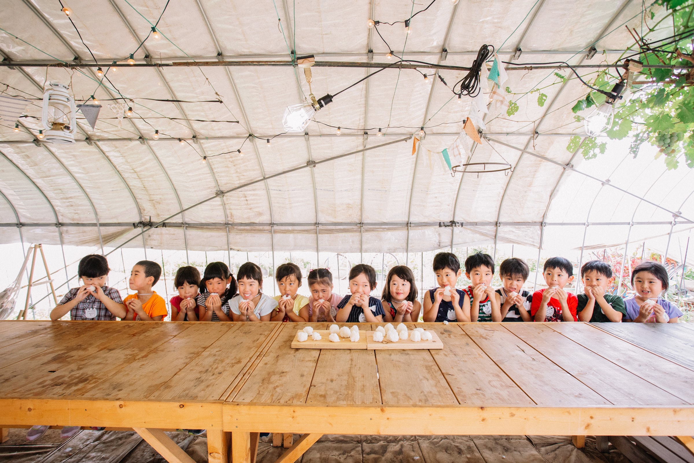 一般のお客様 - 秋庭農園