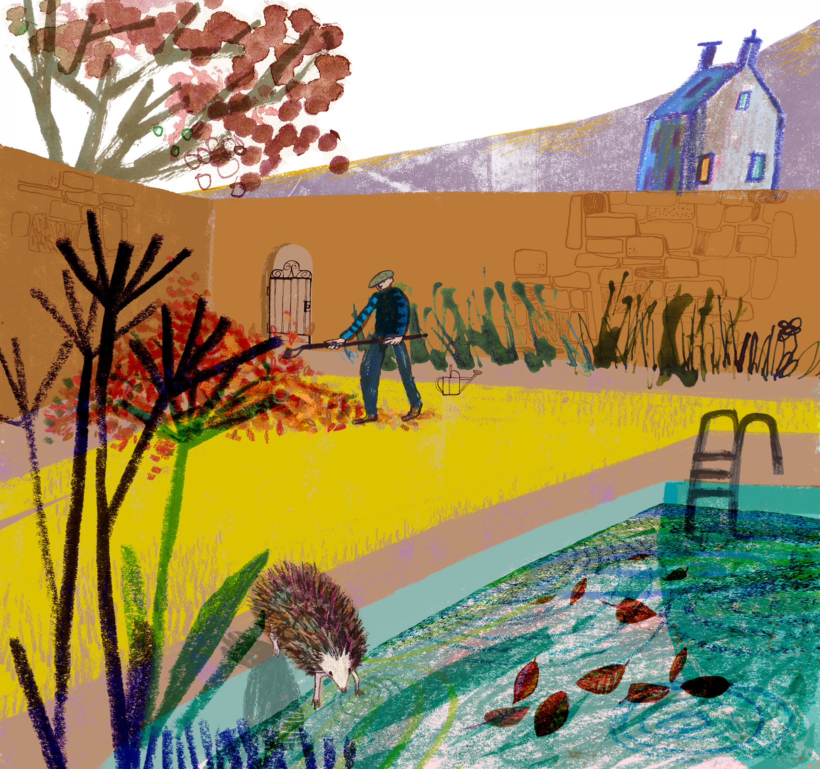 General Illustration - Jill Calder Illustration