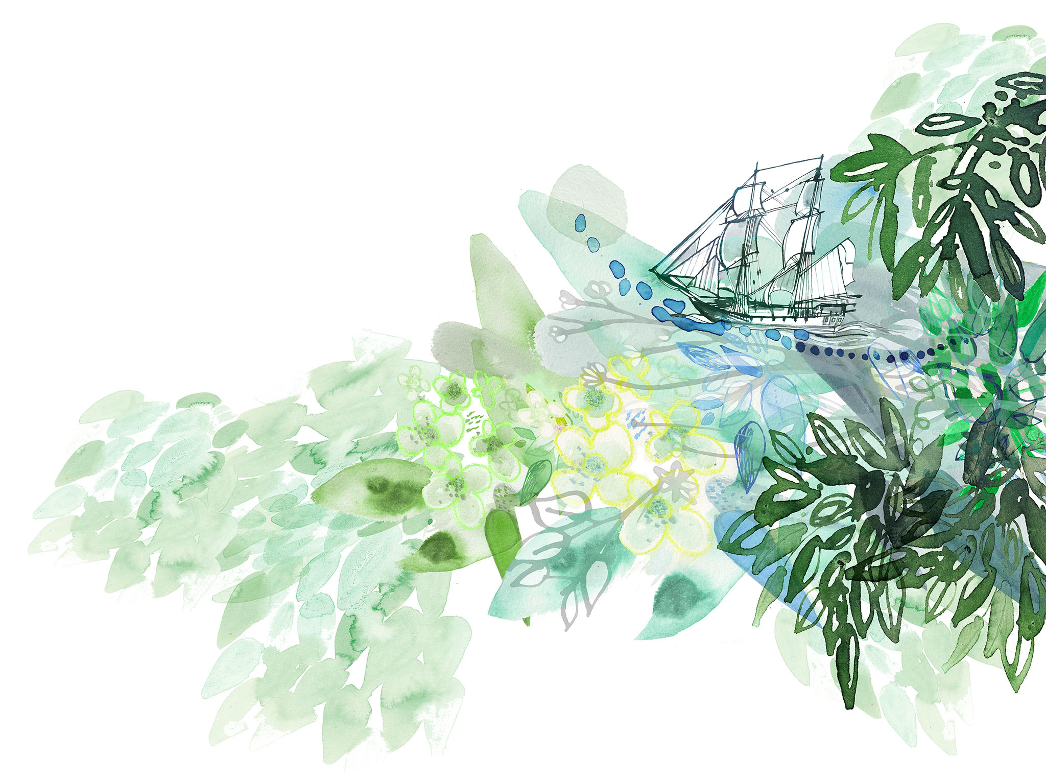 General Illustration - Jill Calder Illustration