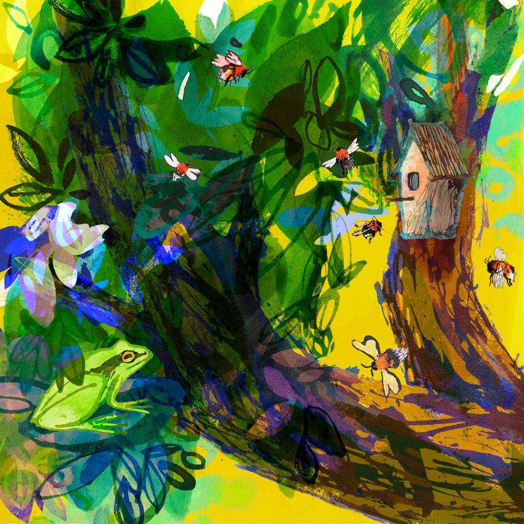 General Illustration - Jill Calder Illustration