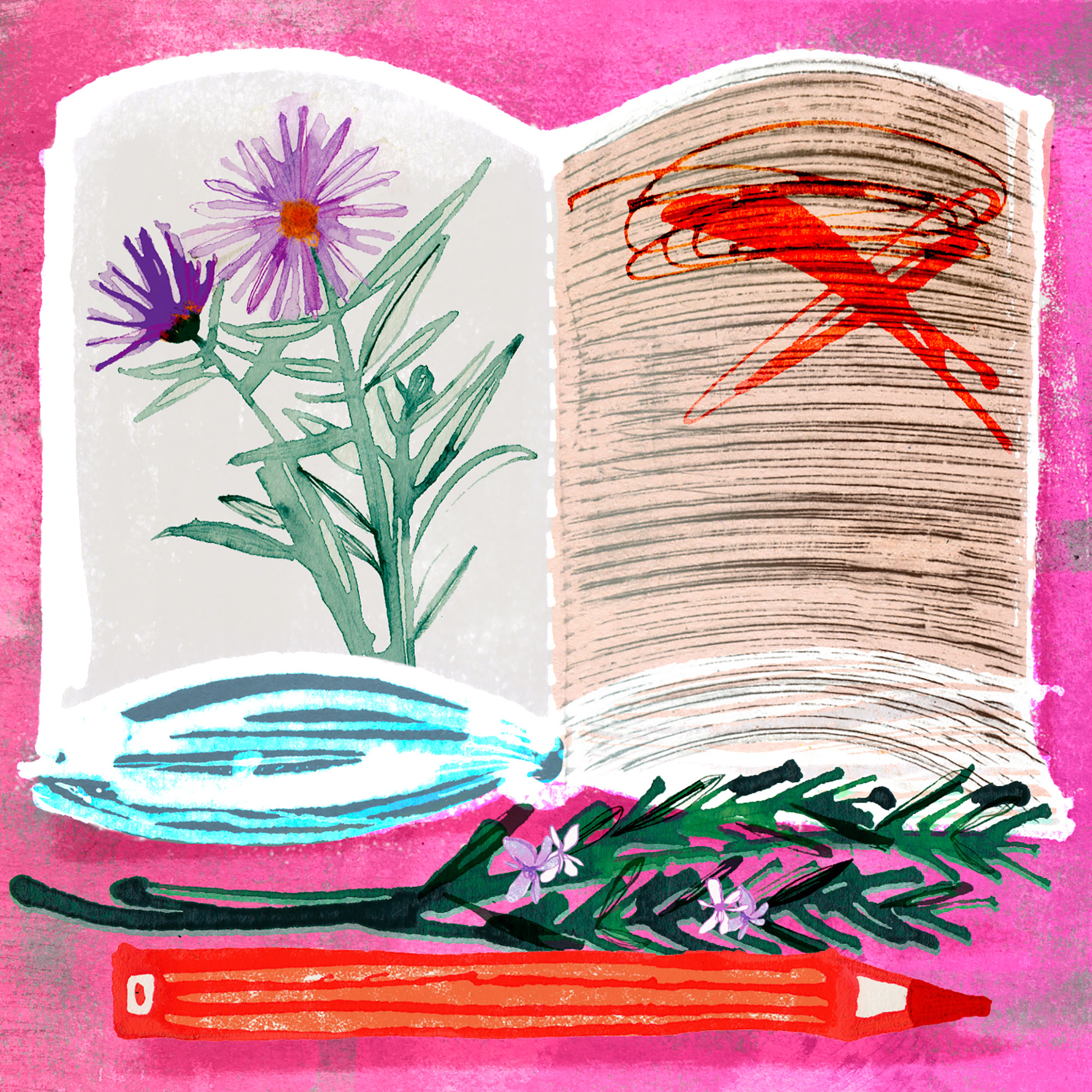 General Illustration - Jill Calder Illustration