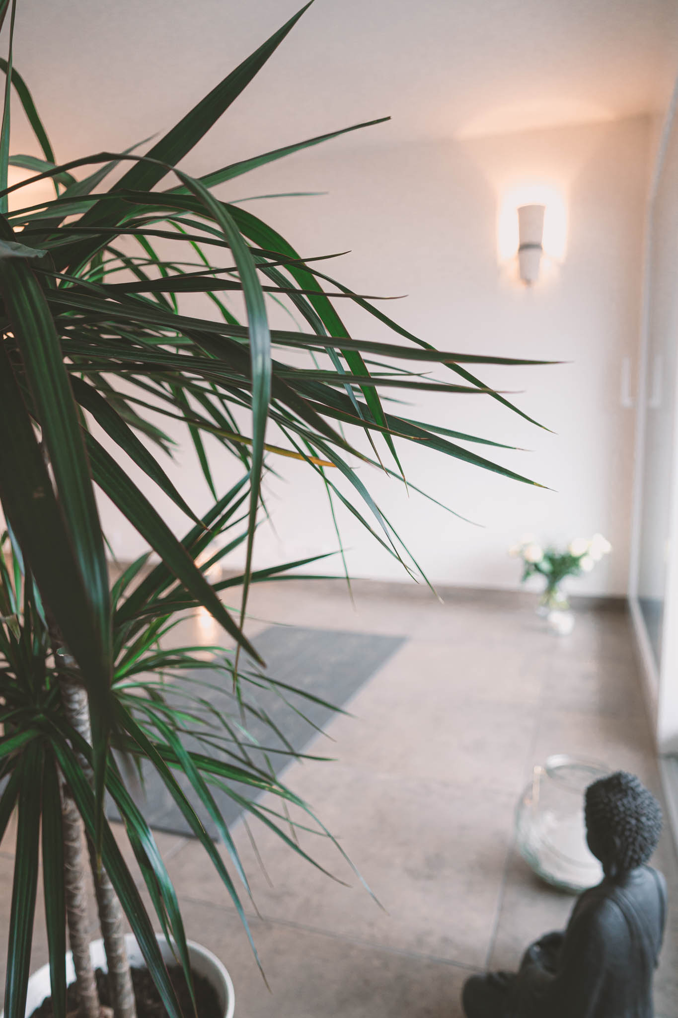 Feel Balanced - Kontakt - Feel Balanced – Personal Training, Yoga ...