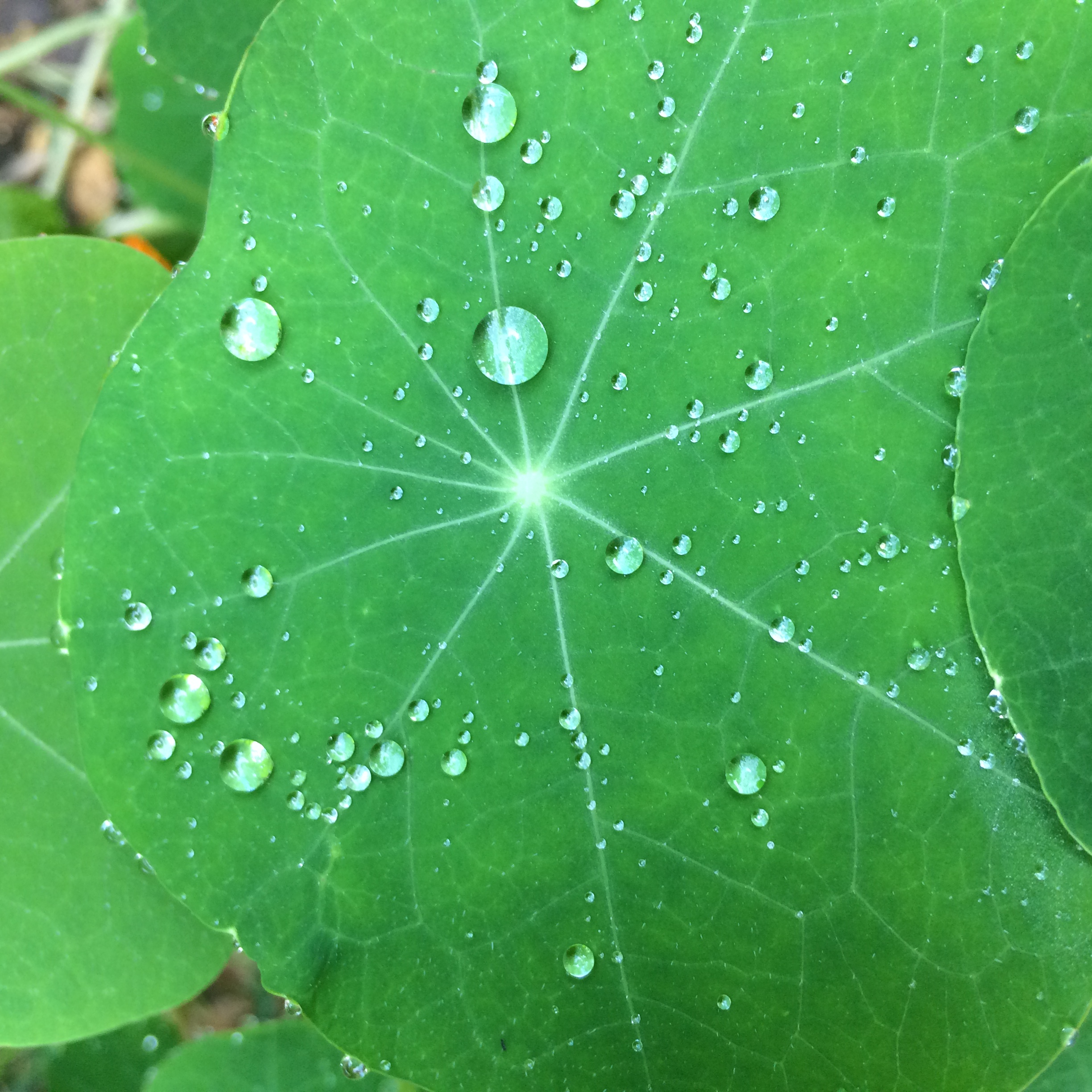 RITUEL BOX c'est Cédrine - Site de rituel-box