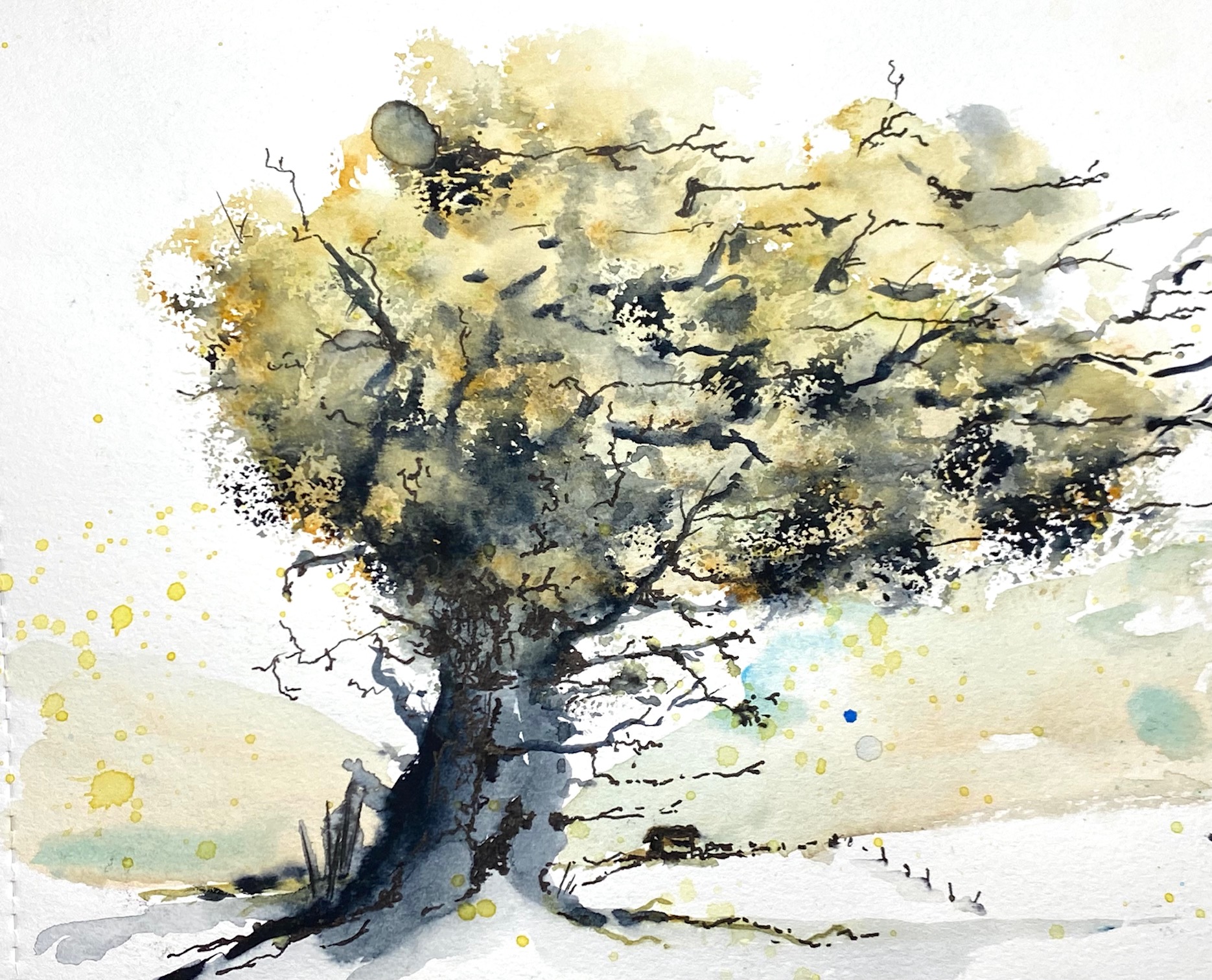 Sponge Trees - craigmeldahl.com