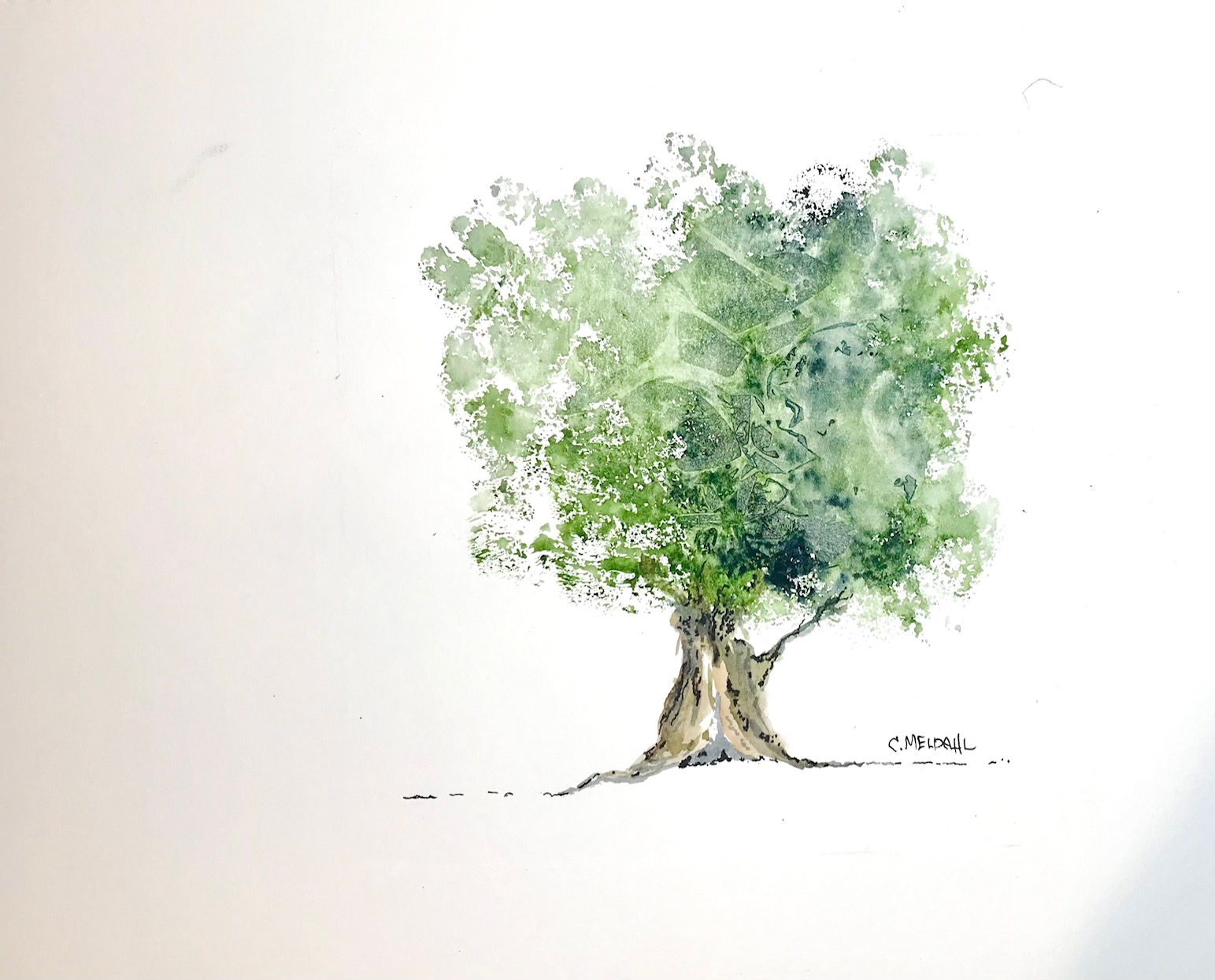 Sponge Trees - craigmeldahl.com