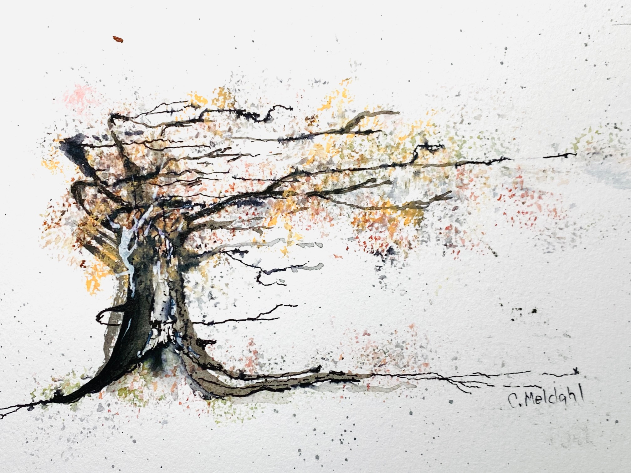 Sponge Trees - craigmeldahl.com