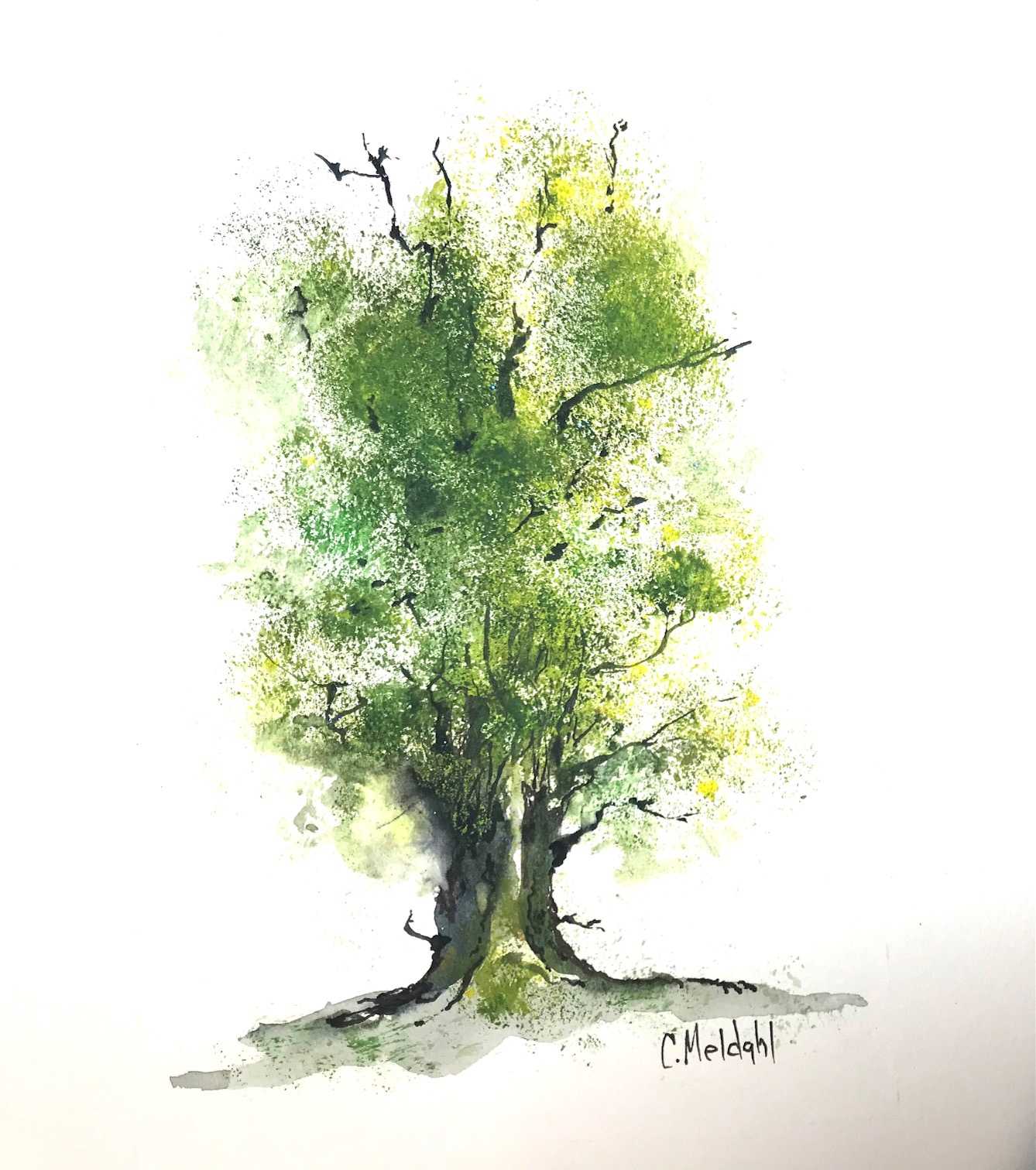 Sponge Trees - craigmeldahl.com