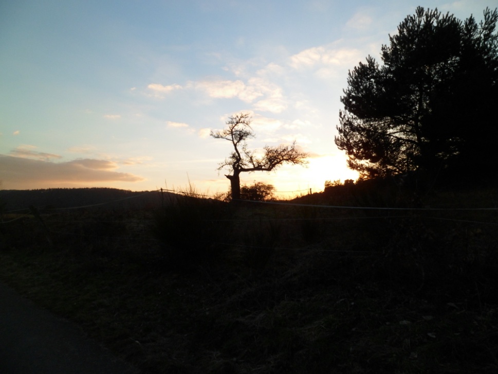 Einführung - Mathis-Film