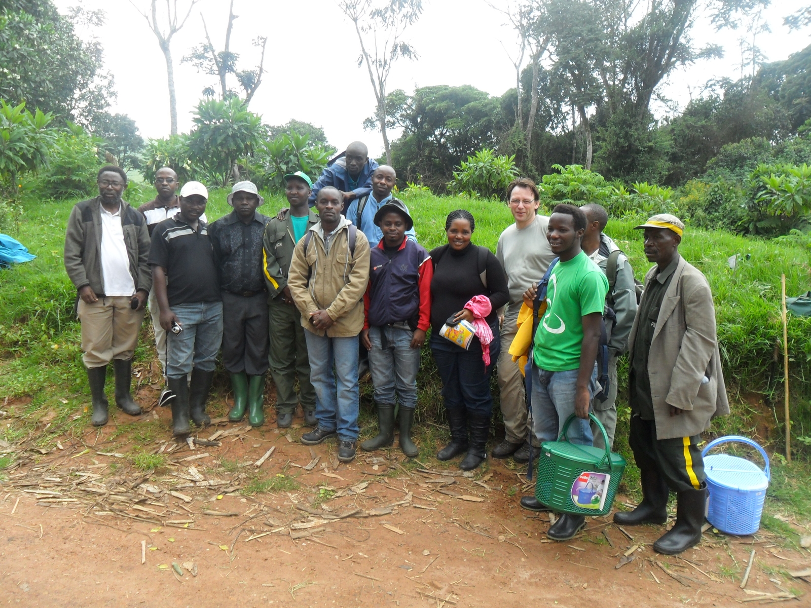 C11 : Usages et importance des champignons sauvages: connaissances ...