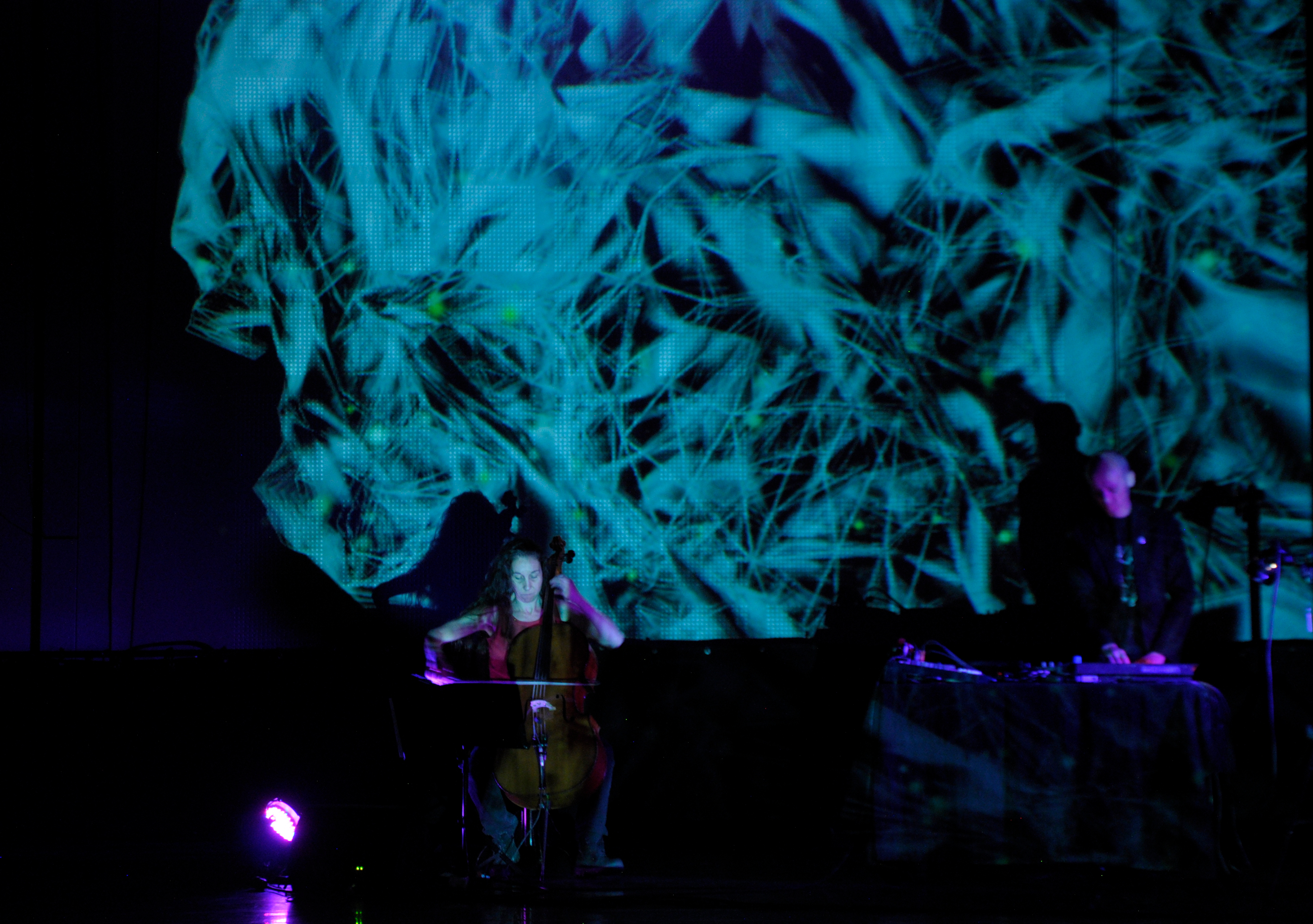 Démos - Site de korto