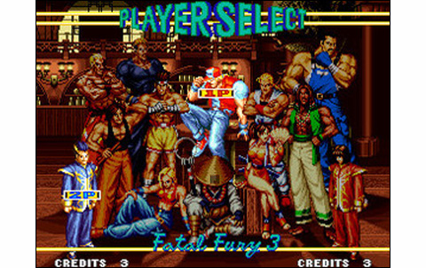 fatal fury select