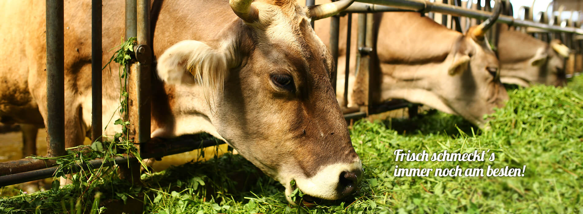 Impressum - Sulger – Wir leben Heimat