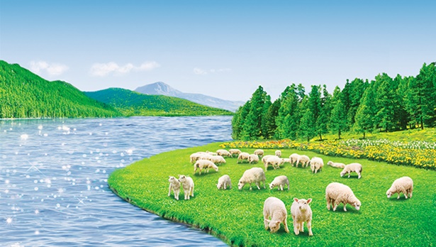 简体版本 - feng-huo 風火網頁