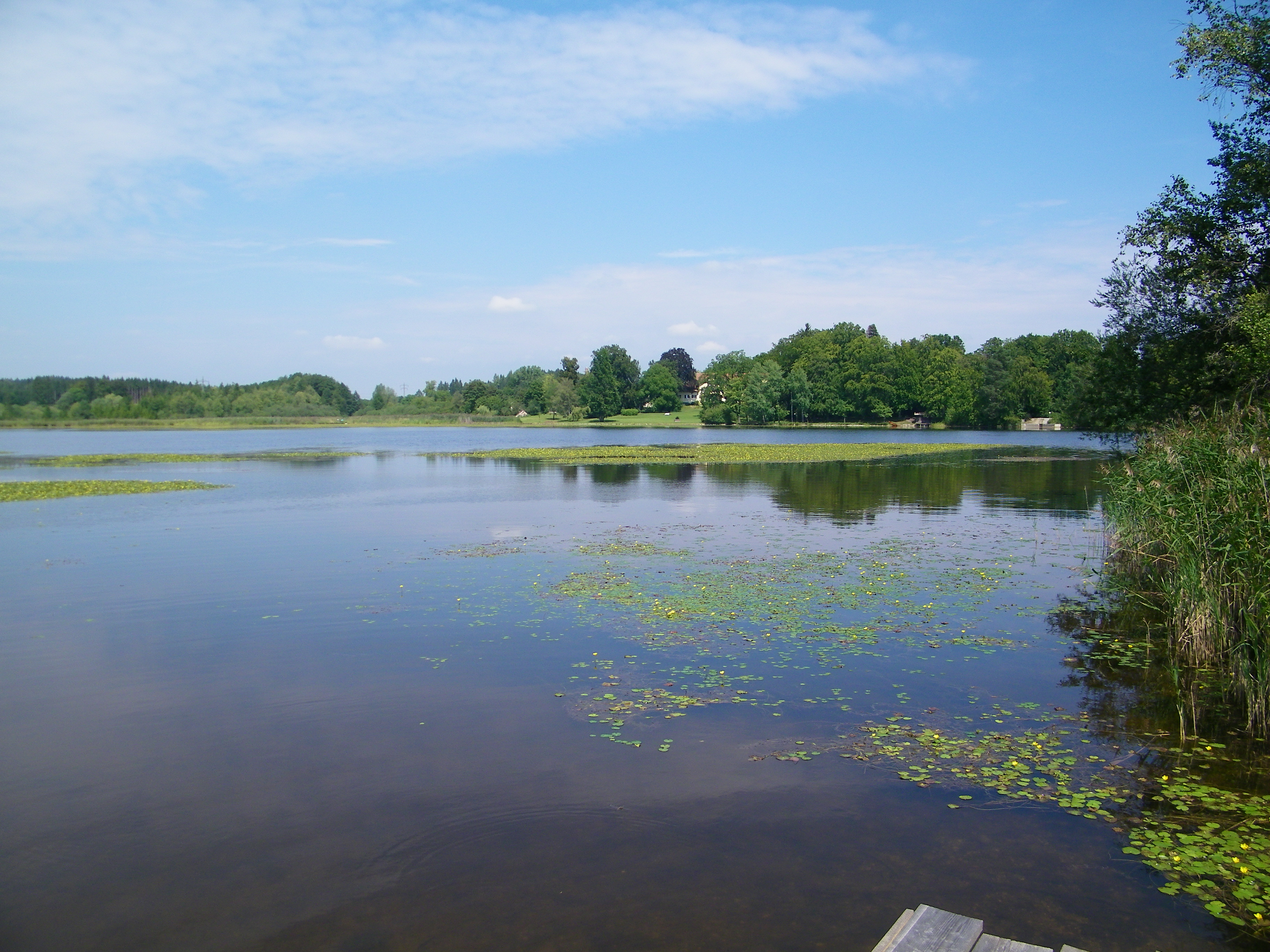 Pollinger Weiher - AV-Pfaffenwinkel e.V