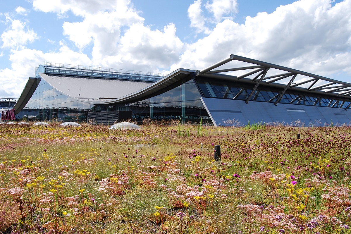 Extensive Substrate to Green Up Your Roof - iNTERBiMS