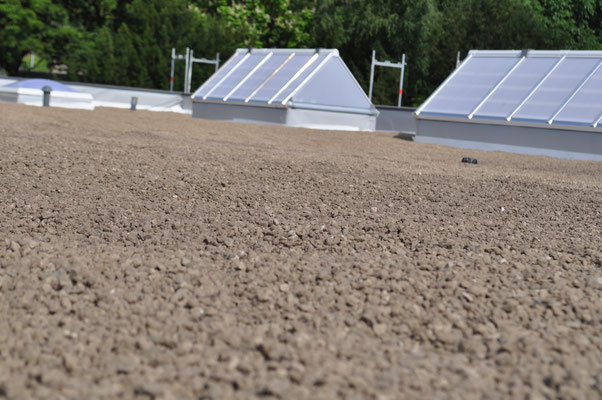 Extensive Mineral Substrate to Green Up Your Roof - iNTERBiMS