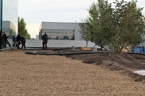 Intensive Substrate to Green Your Roof - iNTERBiMS