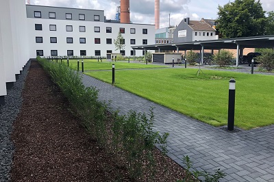 Lawn Substrate to Green Up Your Lawn - iNTERBiMS