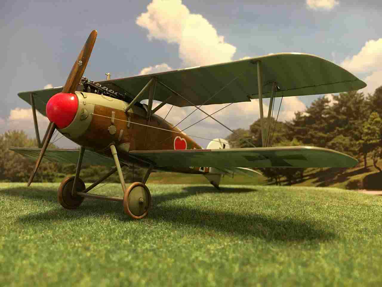 Werner Voss(48kills) - WW1 Aces