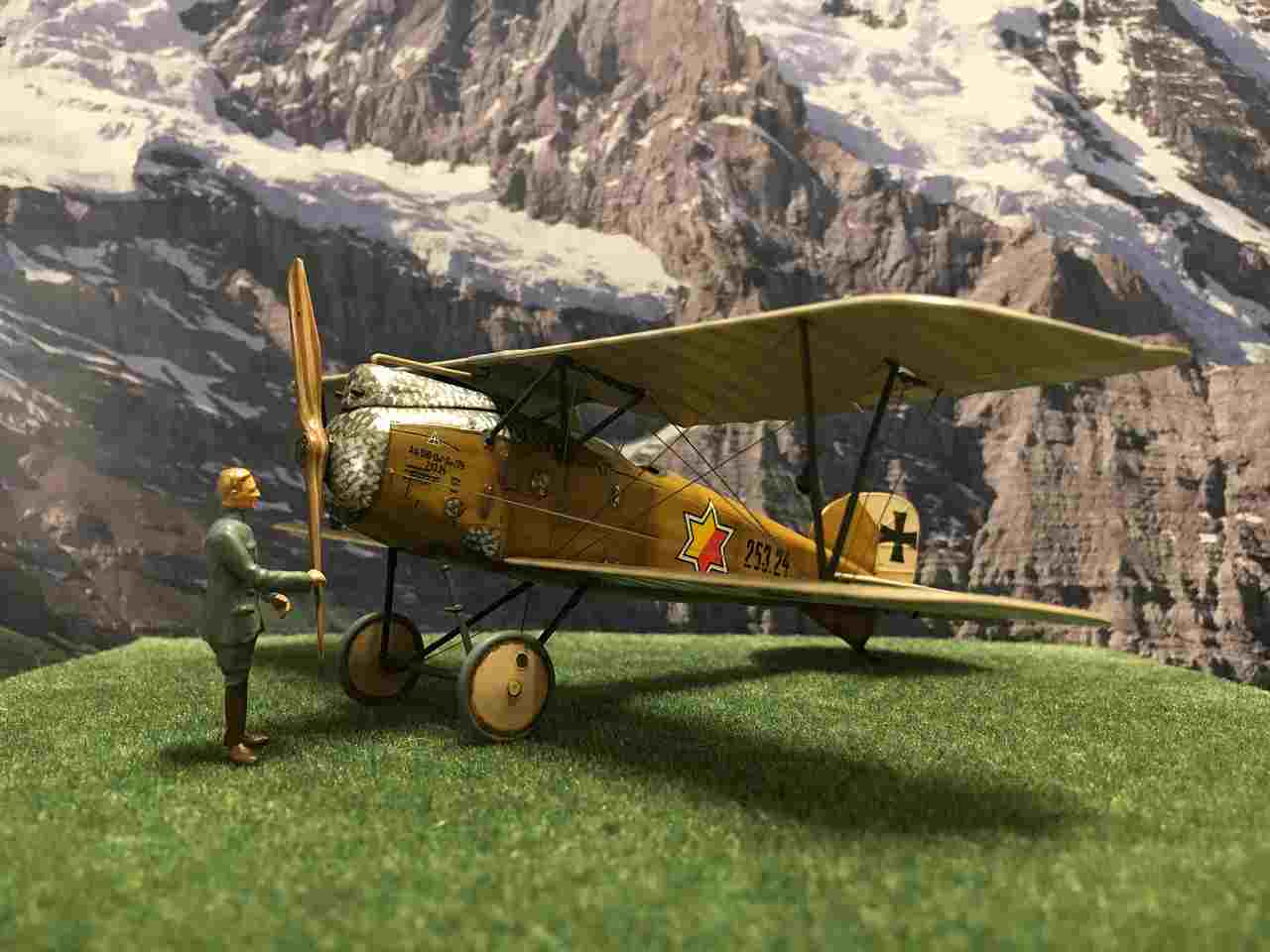 Albatros D.Ⅲ - WW1 Aces
