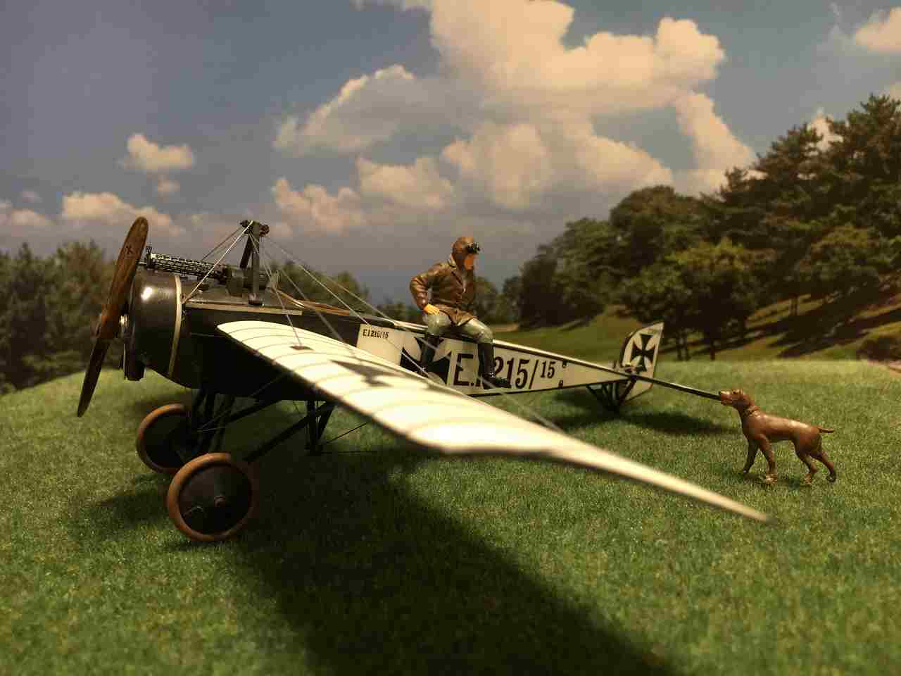 Willi Rosenstein(9kills) - WW1 Aces