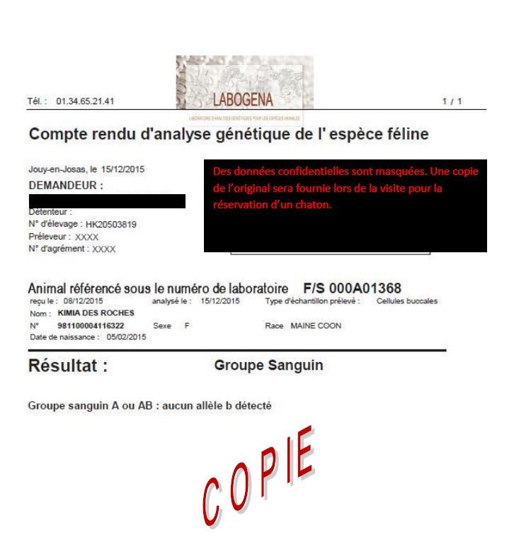 Kimia goupe sanguin - Site de chatterievalleedesgeantsdumaine