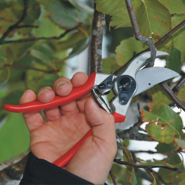 Gartenschere Felco 2 - raimund Biogartenbedarf