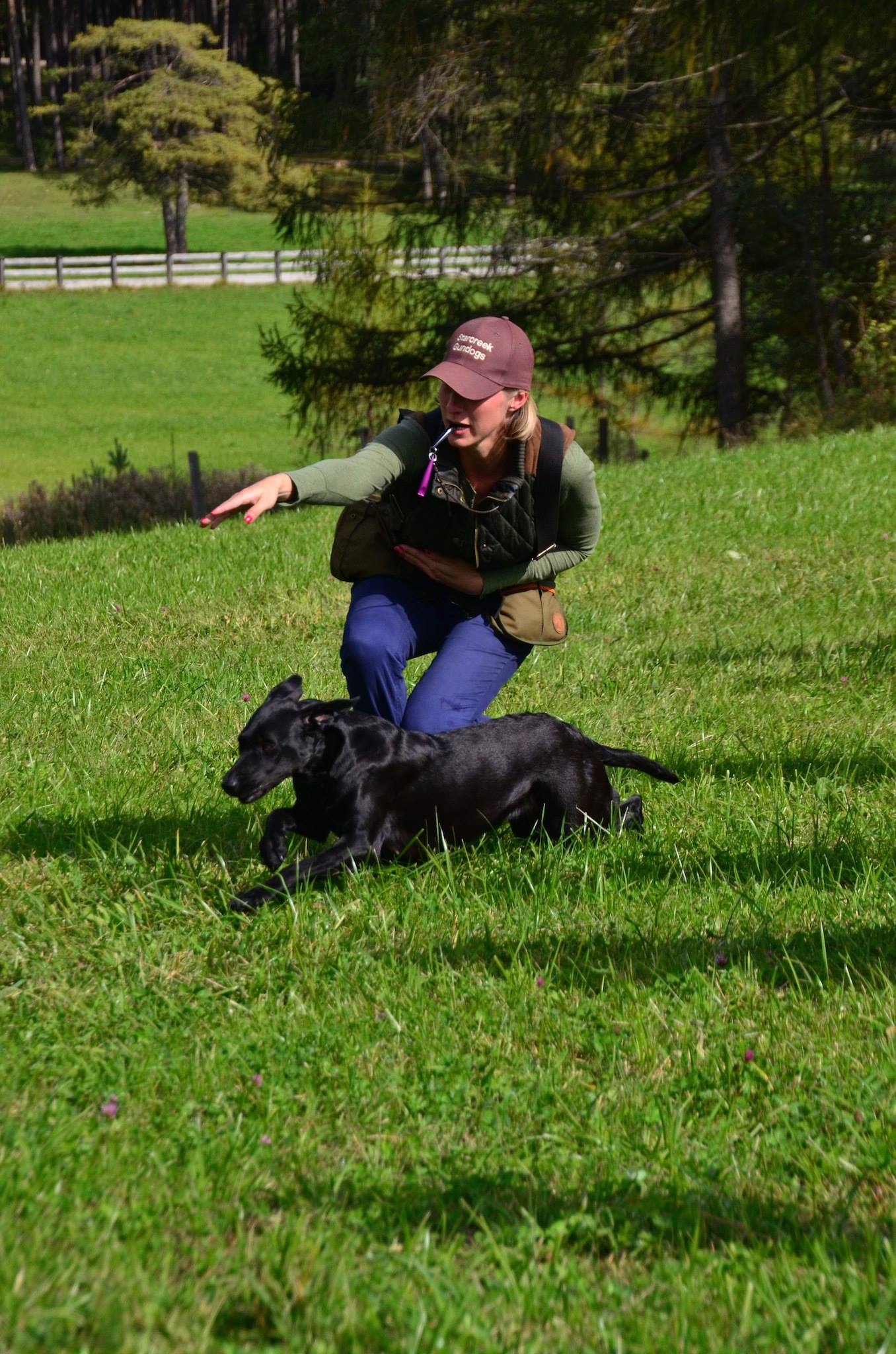 2. Clockwork Trainingswochenende mit Filip Bollen - Clockwork Labradors