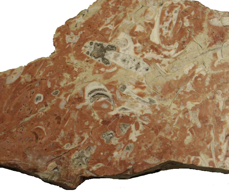 Kalkstein - Geoloogi