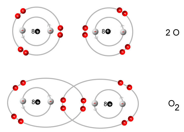 Verbrennungsprozesse - Vorbereitung auf den MSA