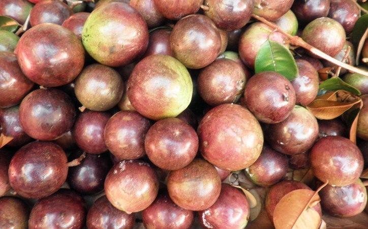 Philippines: Country Profile Part I - D - Hearts Philippines & Then Some