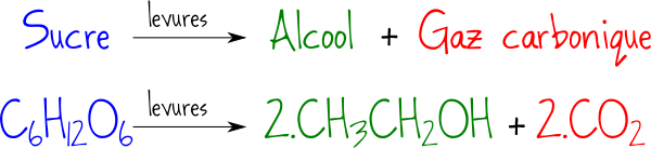 fermentation alcoolique