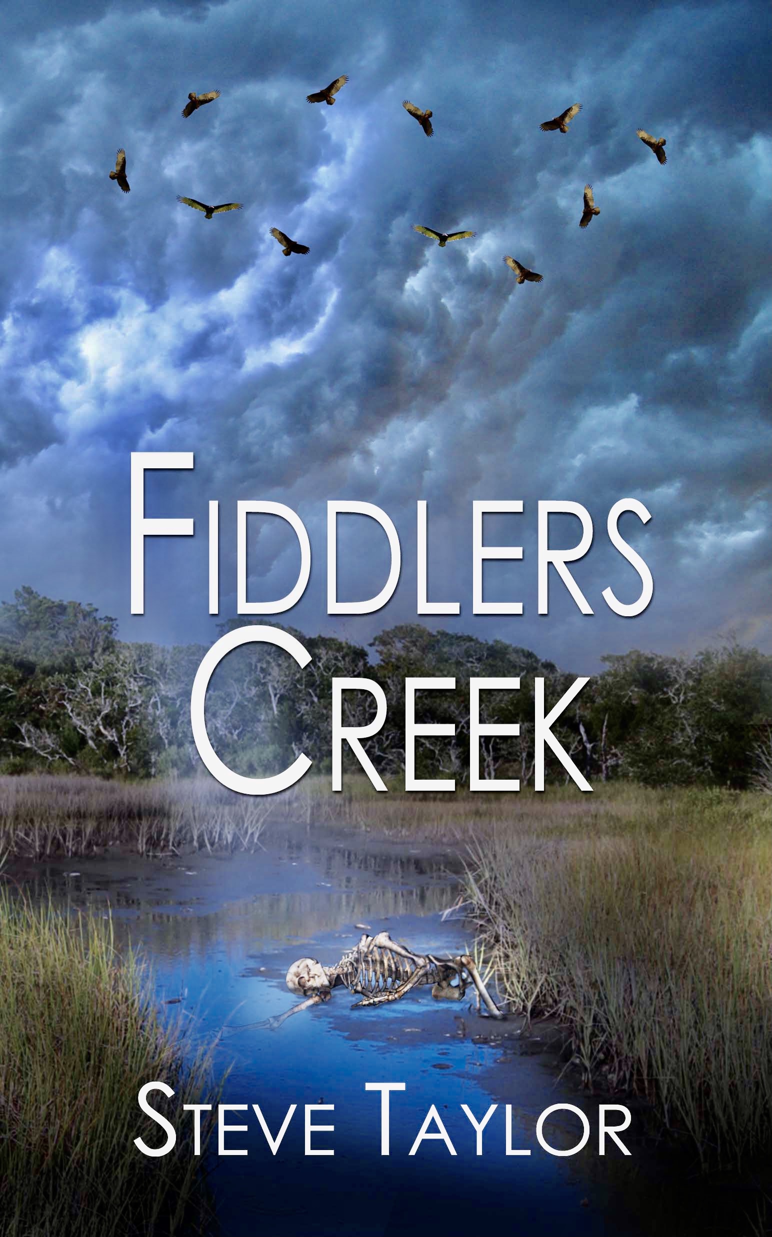 Praise and Reviews for WHEELS UP - stevetaylorbooks