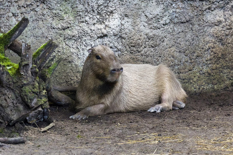 EL GRUPO EN LA VISITA A COSMOCAIXA - Primaria Vivers C.P. Villar Palasí ...