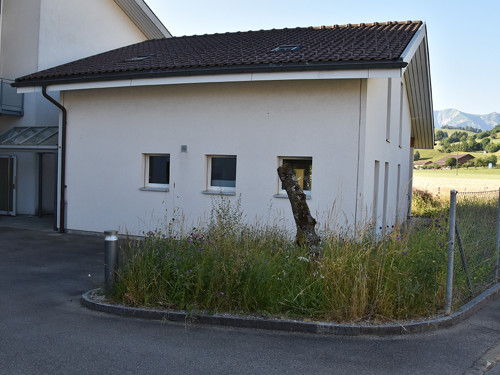 Schulkommission - Schule Riggisberg