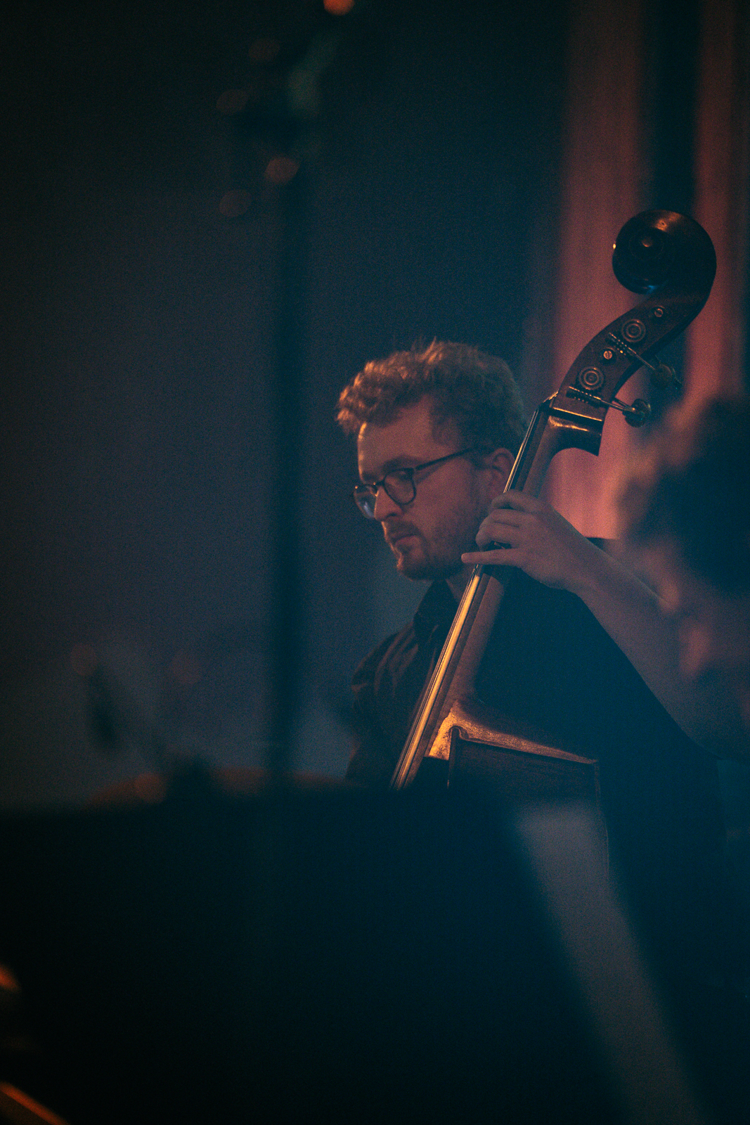Live - Carl Wittig - Bass-Player/Composer