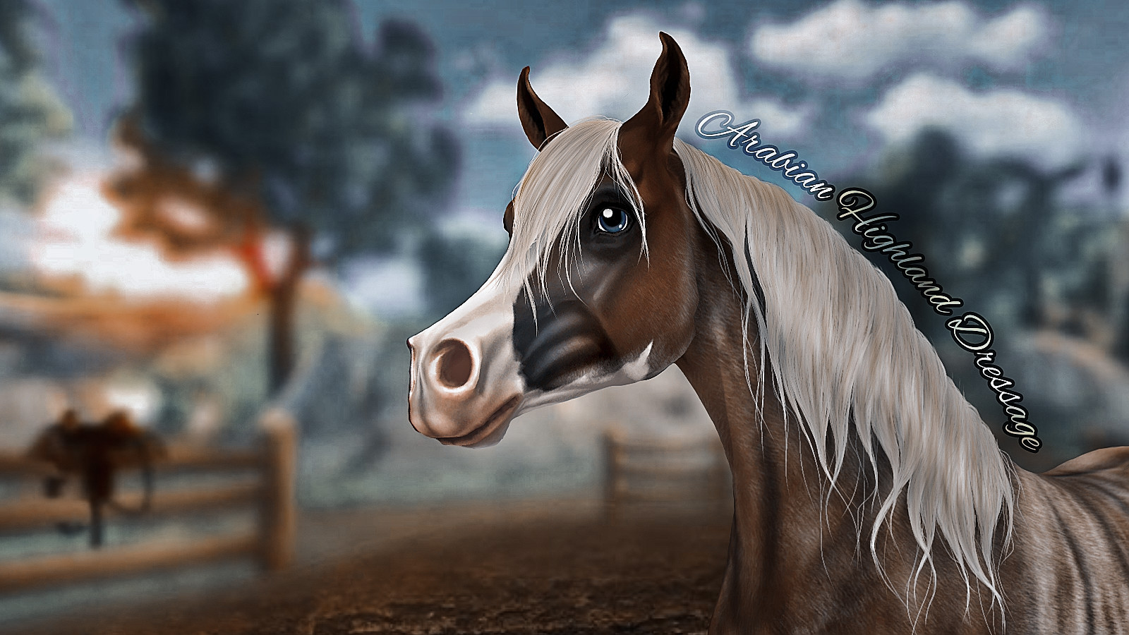 Disziplin & Harmonie - arabian-highland-dressage