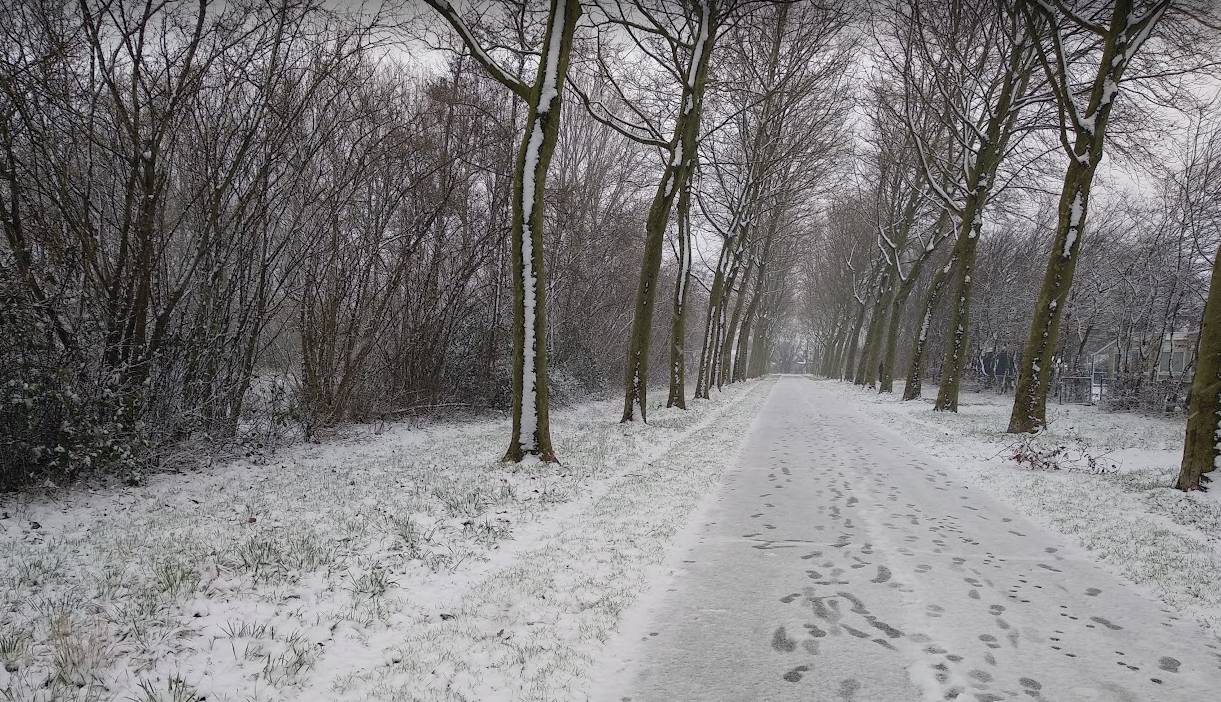 Borssele dorp - Borssele dorp