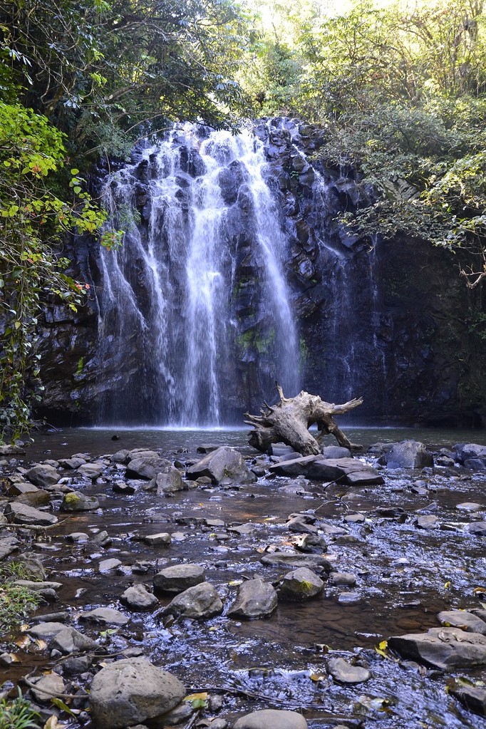 Mossman Gorge und Milla Milla Falls - underthesamesuns Webseite!