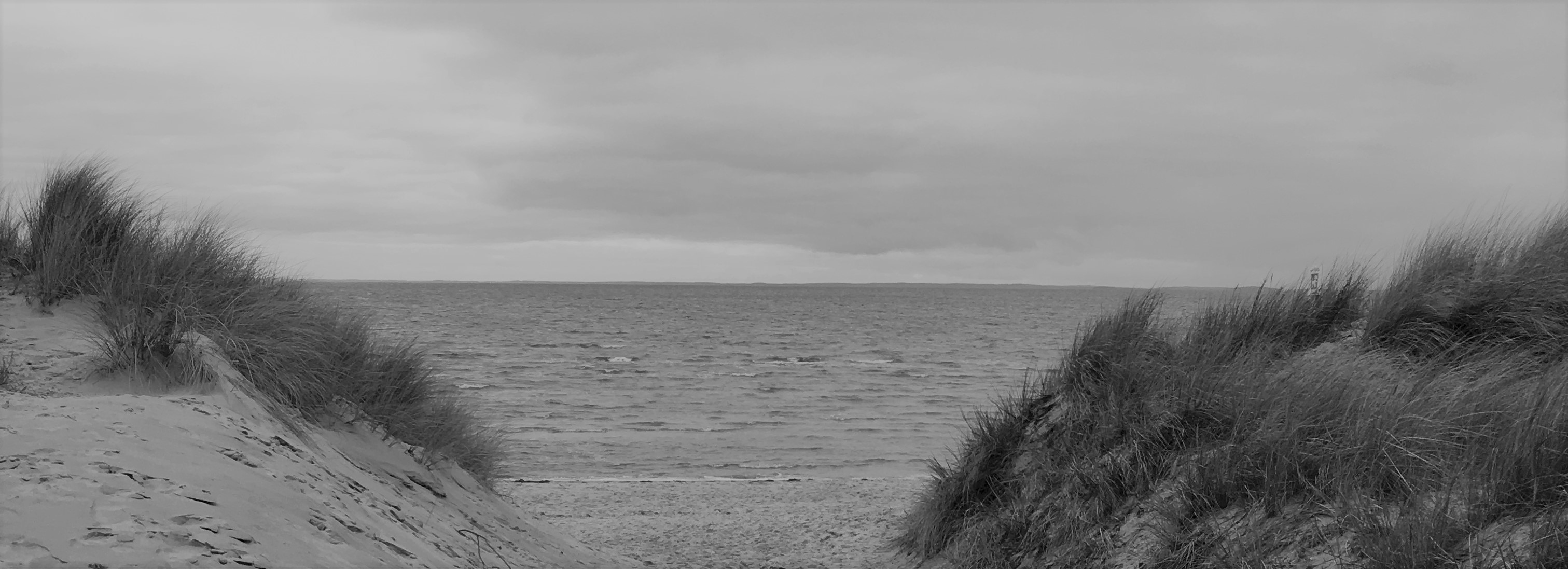 Zur Person - Benjamin Lanz