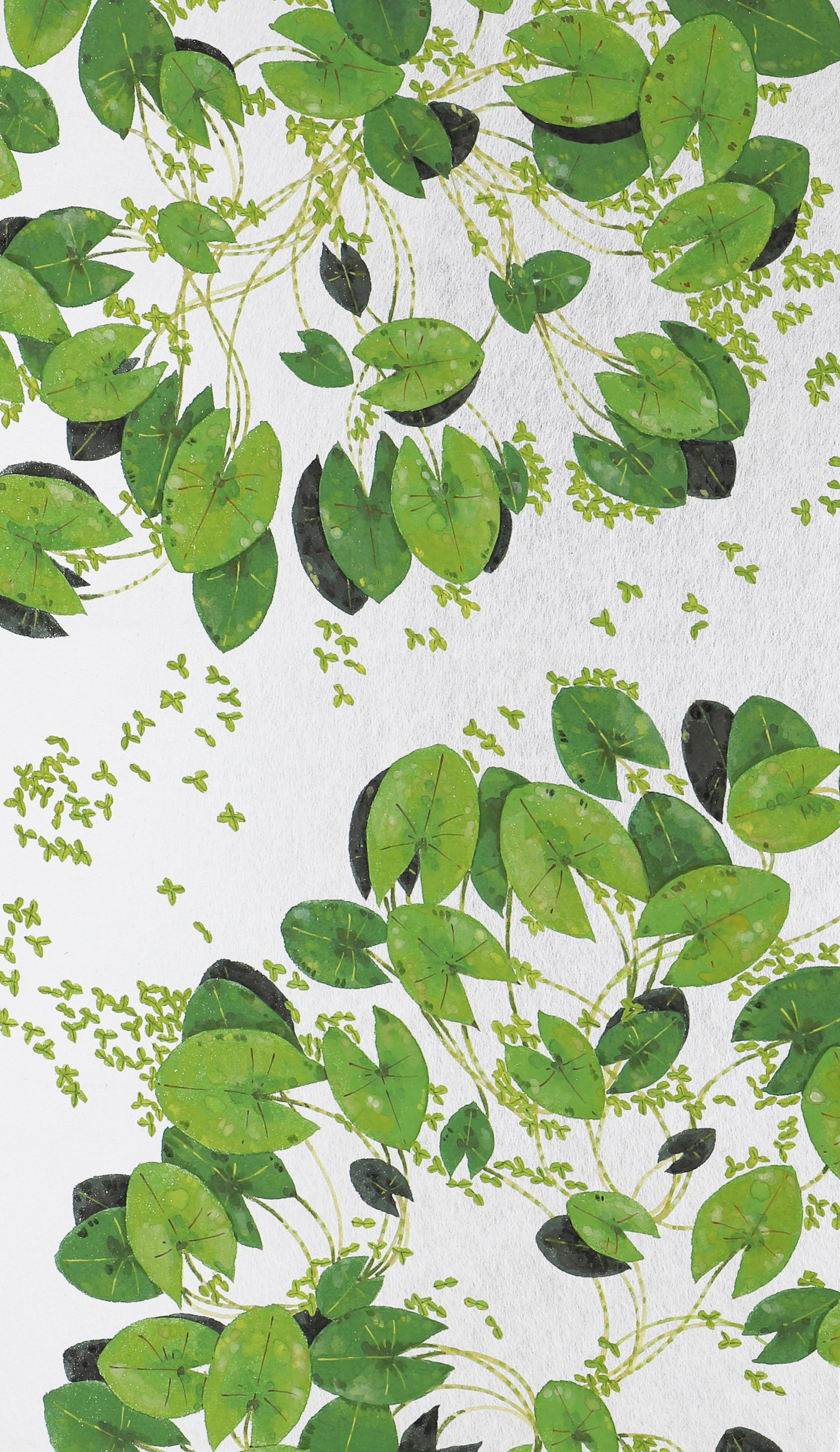 FLOWERS @MDP GALLERY KAMAKURA - sori-yuuki 楚里勇己ホームページ