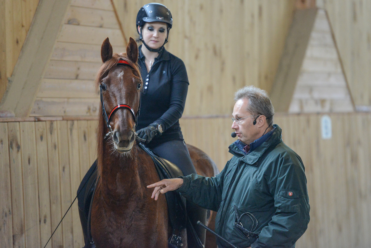 Dressur - Thomas Ritter - alexandra-gaugls Webseite!